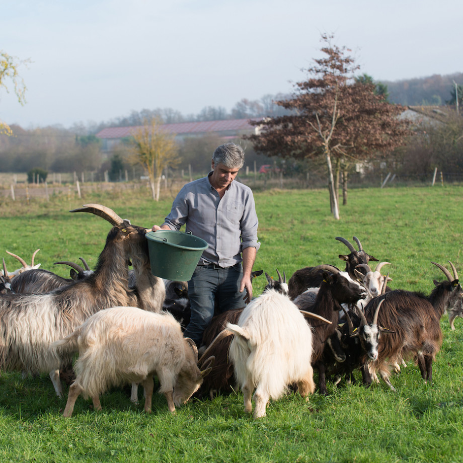 À chacun sa merde - Oui