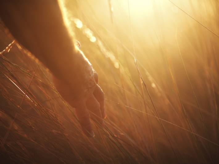 Benjamin Vincent, Auteur à Oui ! Le magazine de la Ruche Qui Dit Oui