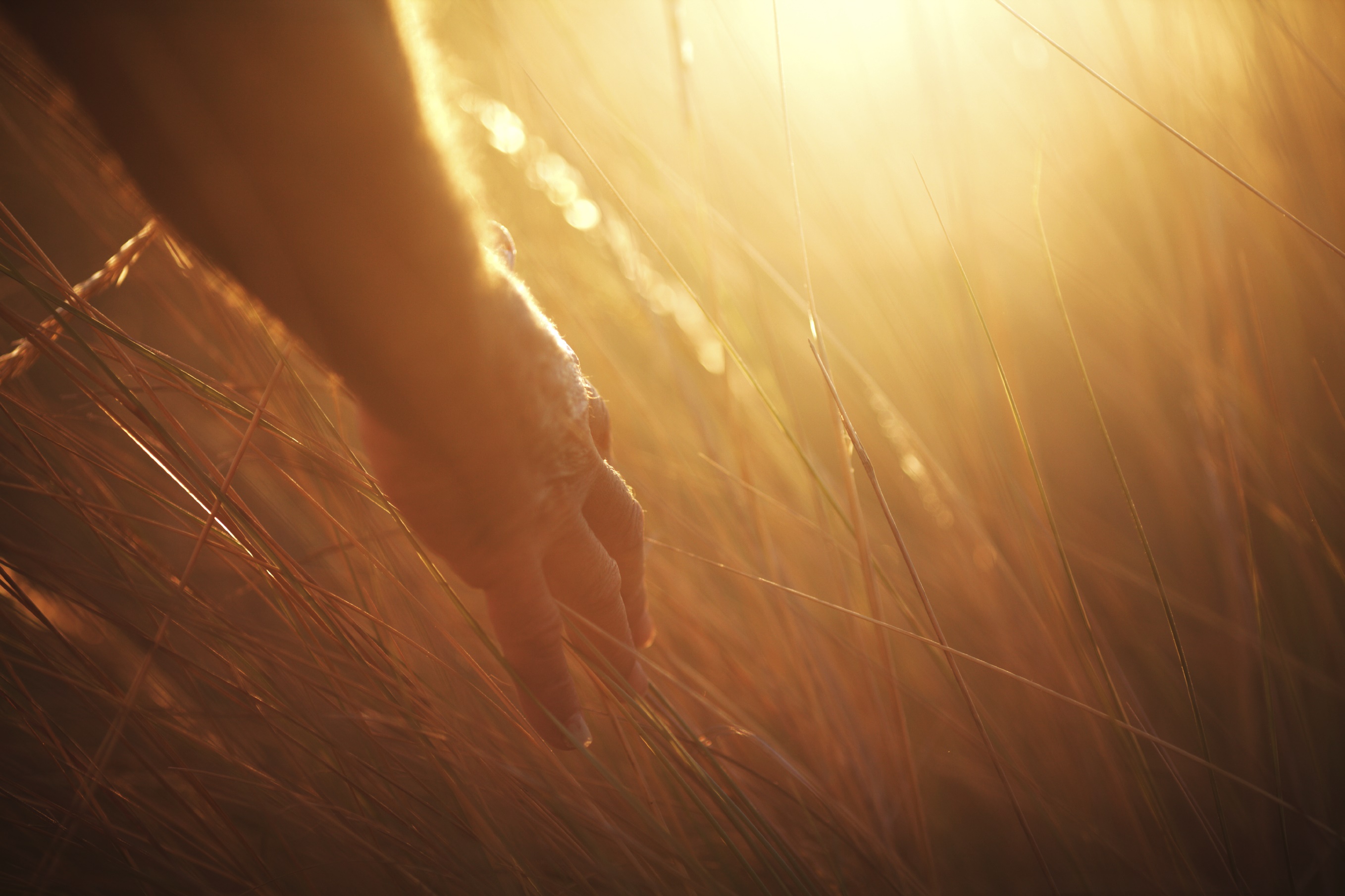 À chacun sa merde - Oui