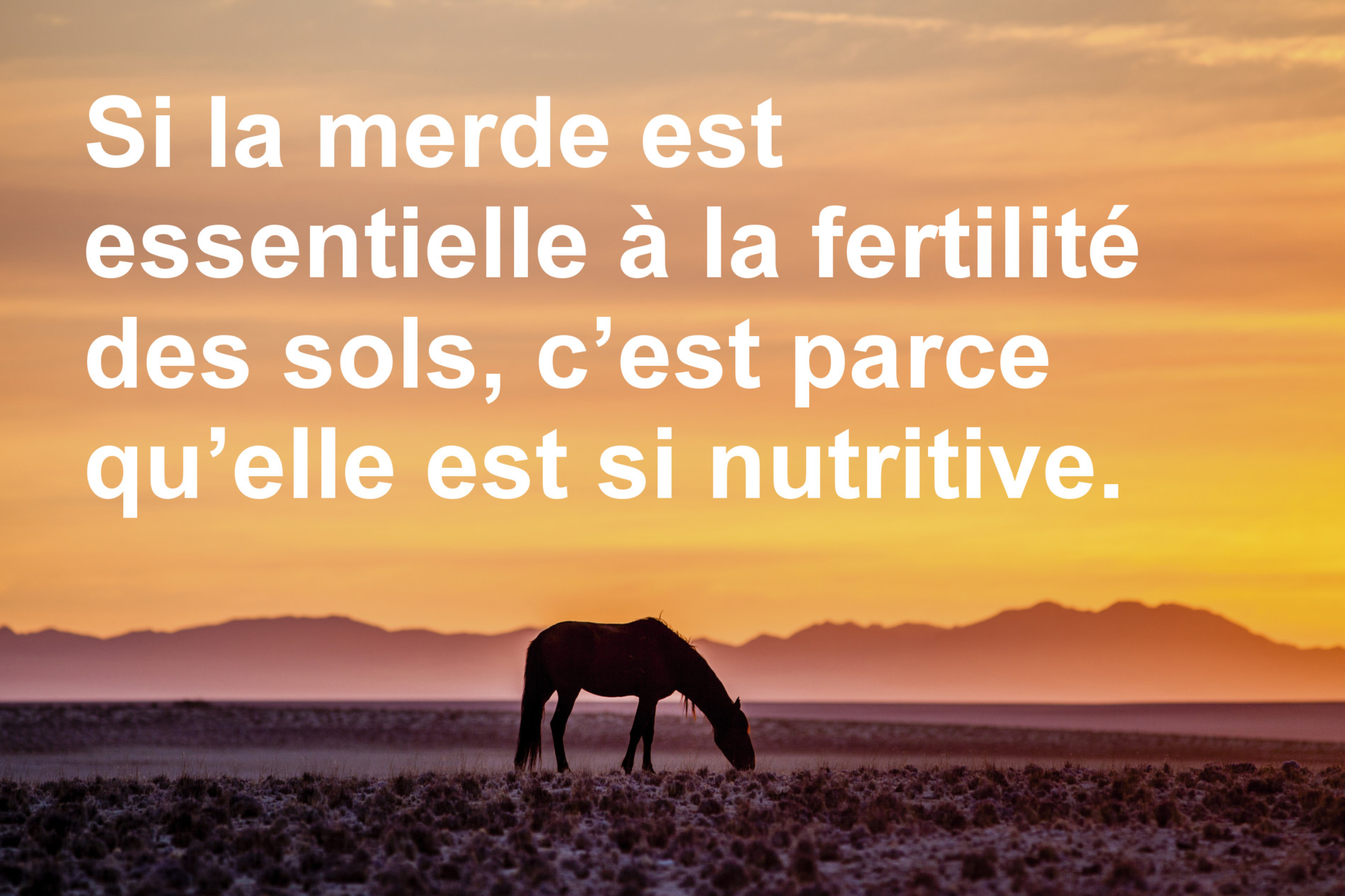 À chacun sa merde - Oui