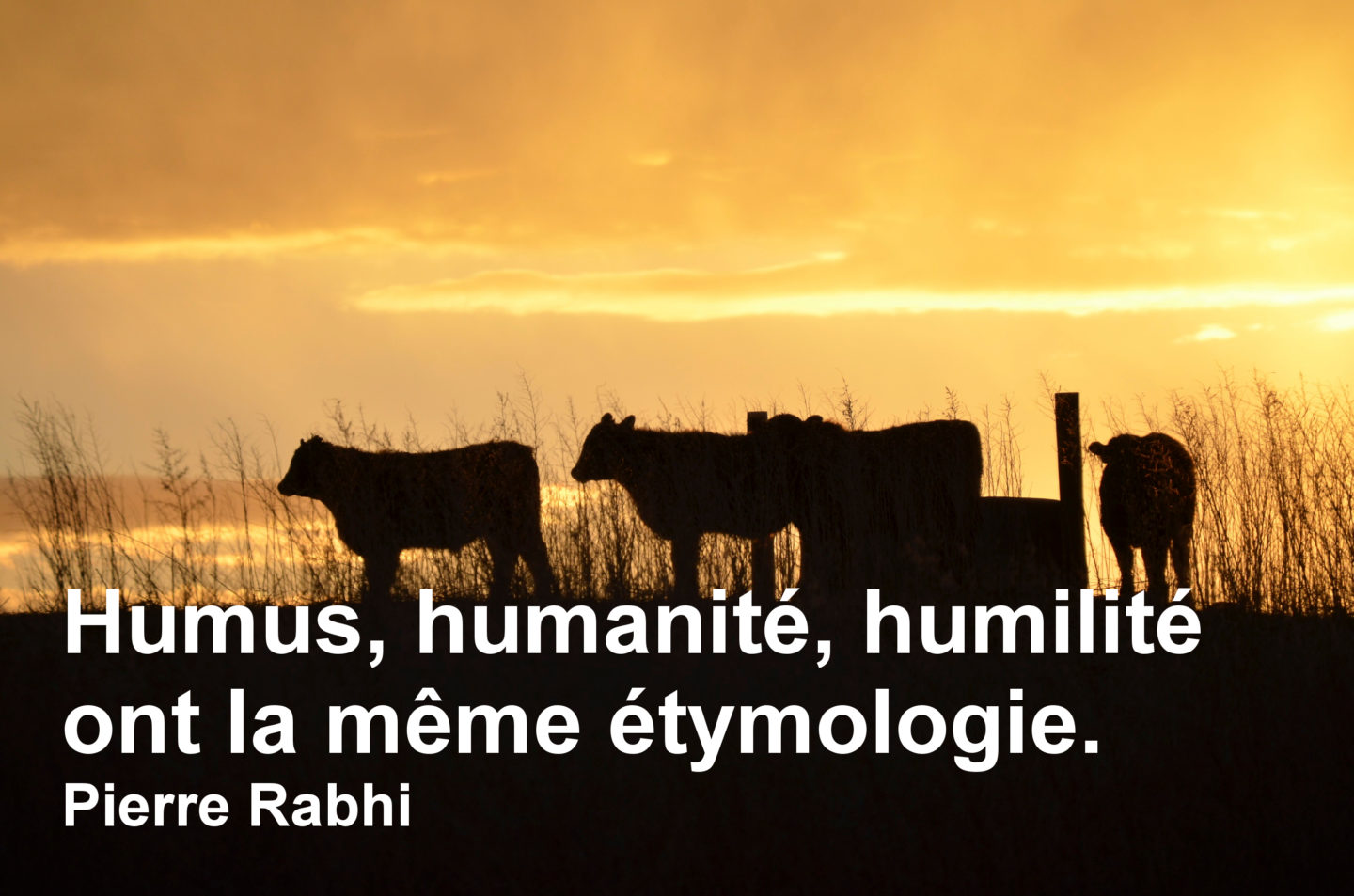 À chacun sa merde - Oui