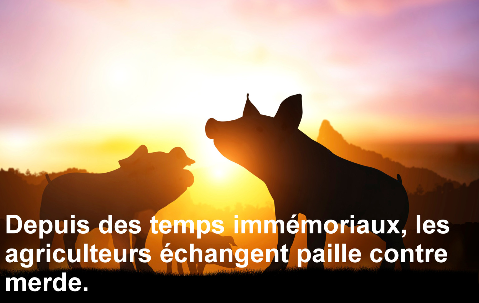 À chacun sa merde - Oui