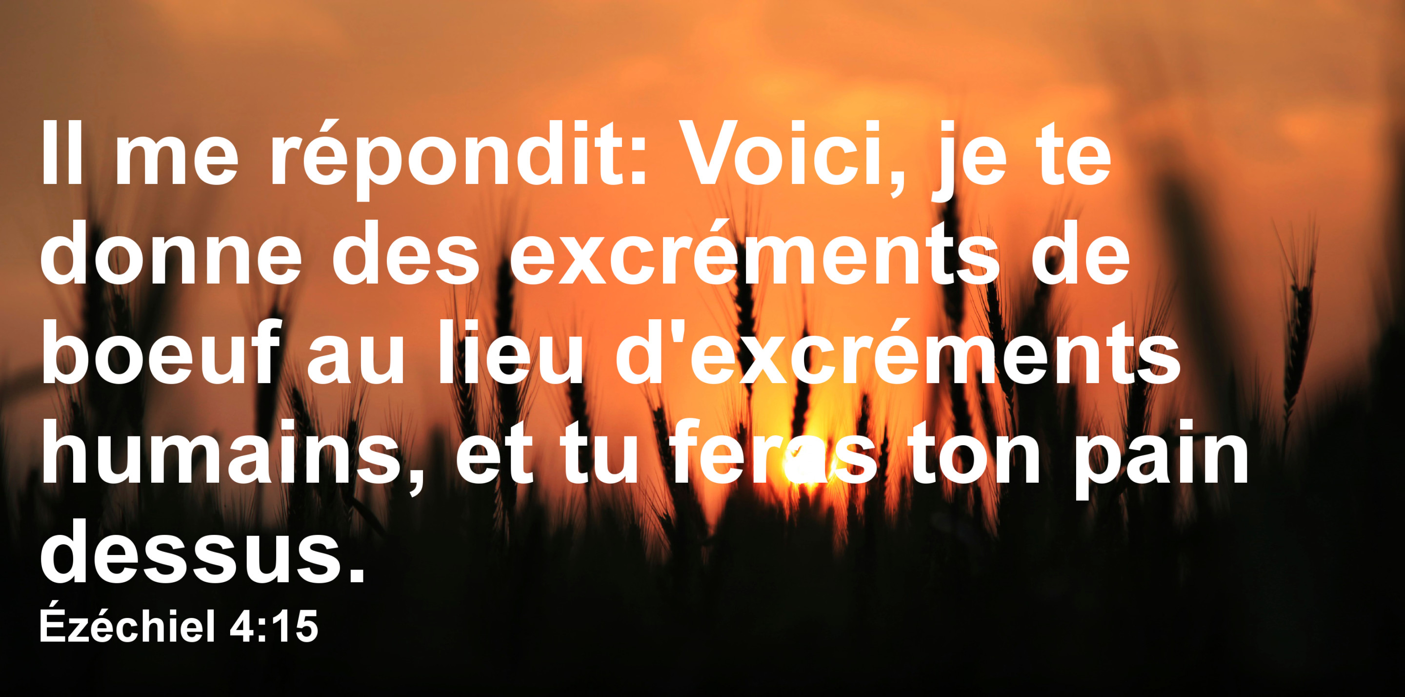 À chacun sa merde - Oui