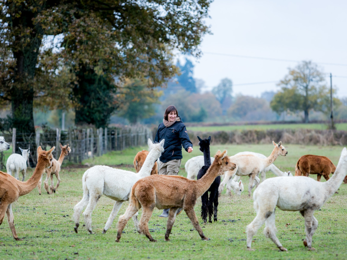 Benjamin Vincent, Auteur à Oui ! Le magazine de la Ruche Qui Dit Oui