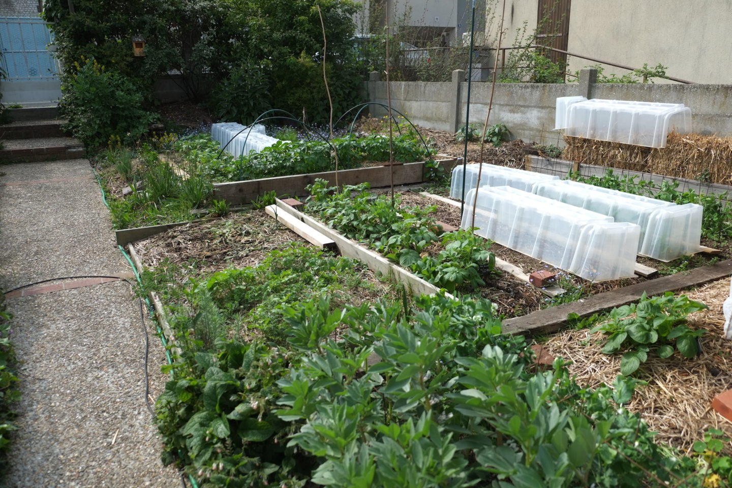 Le jardin extraordinaire de Joseph Chauffrey - Oui ! Le magazine de la ...