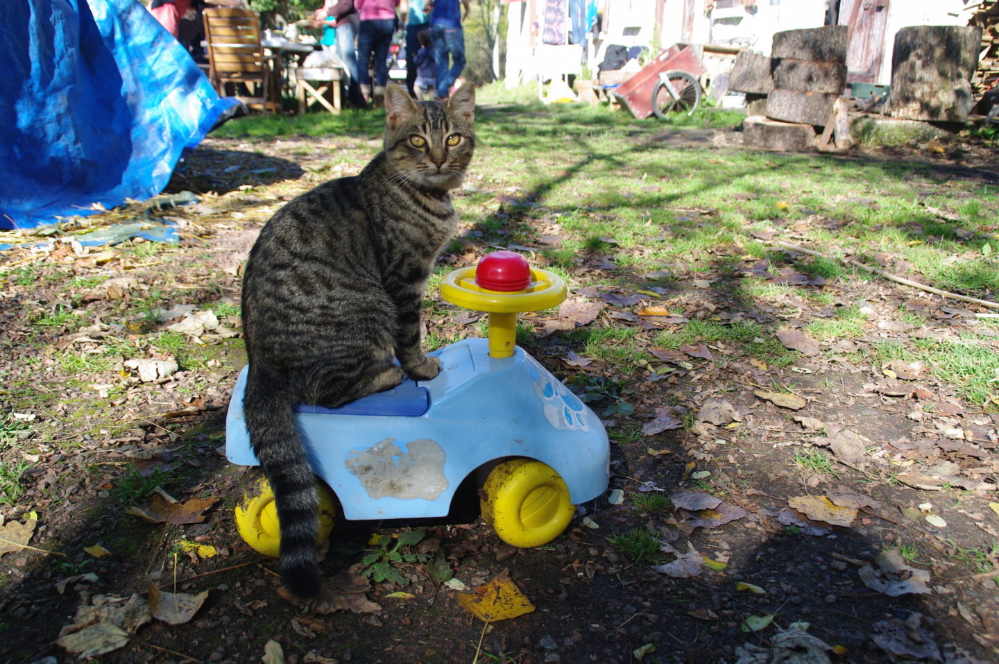 Eotopia, l’écovillage du partage - Oui ! Le magazine de la Ruche Qui ...