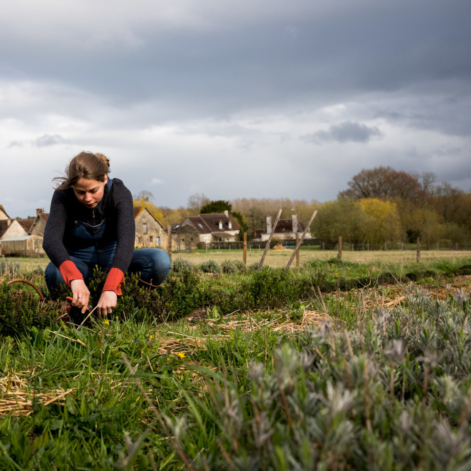 Juliette Mallet, le bonheur des simples - Oui ! Le magazine de la Ruche ...