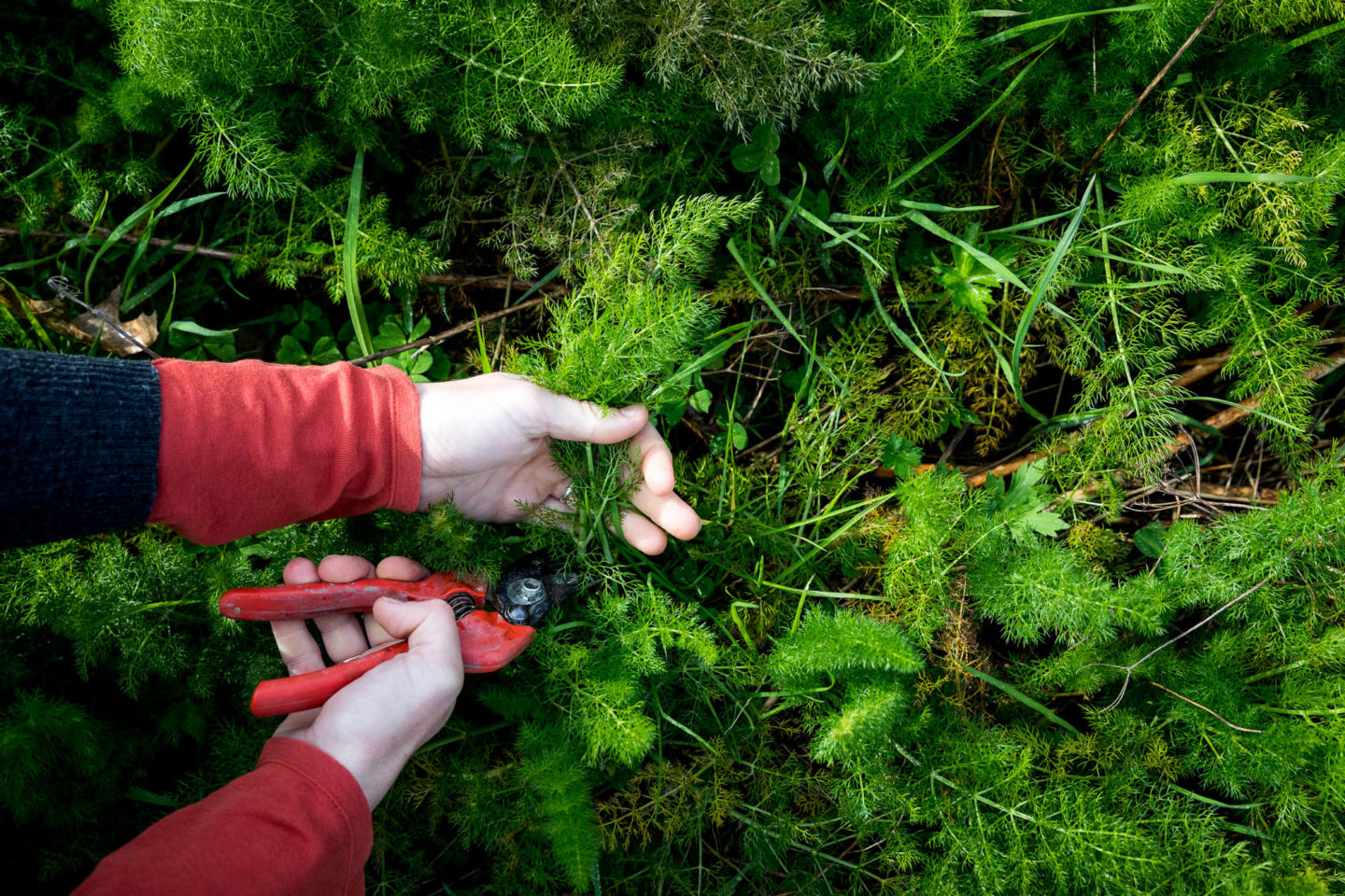 Juliette Mallet, le bonheur des simples - Oui ! Le magazine de la Ruche ...