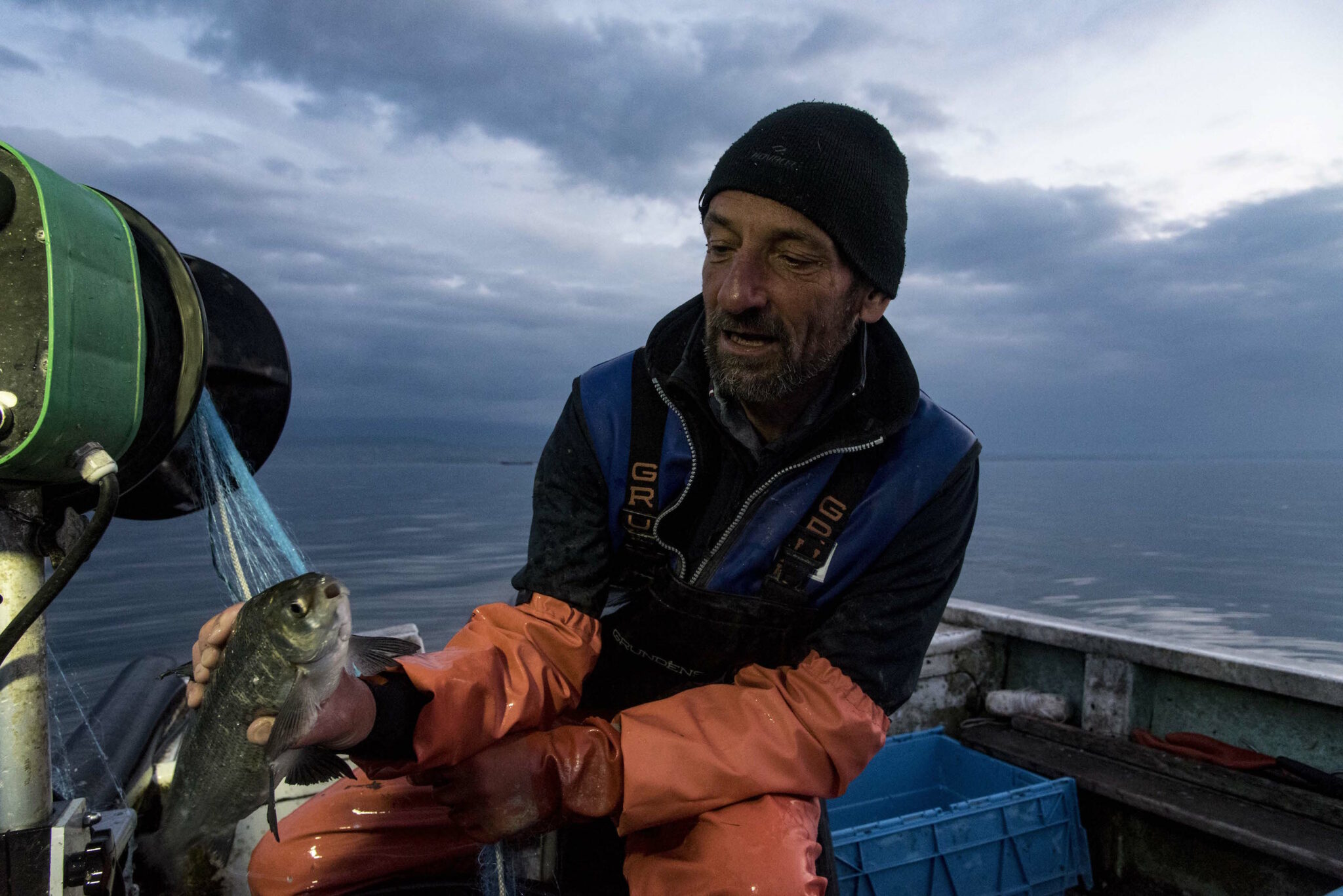 La féra, reine du Léman, à l'épreuve du réchauffement - Oui ! Le ...