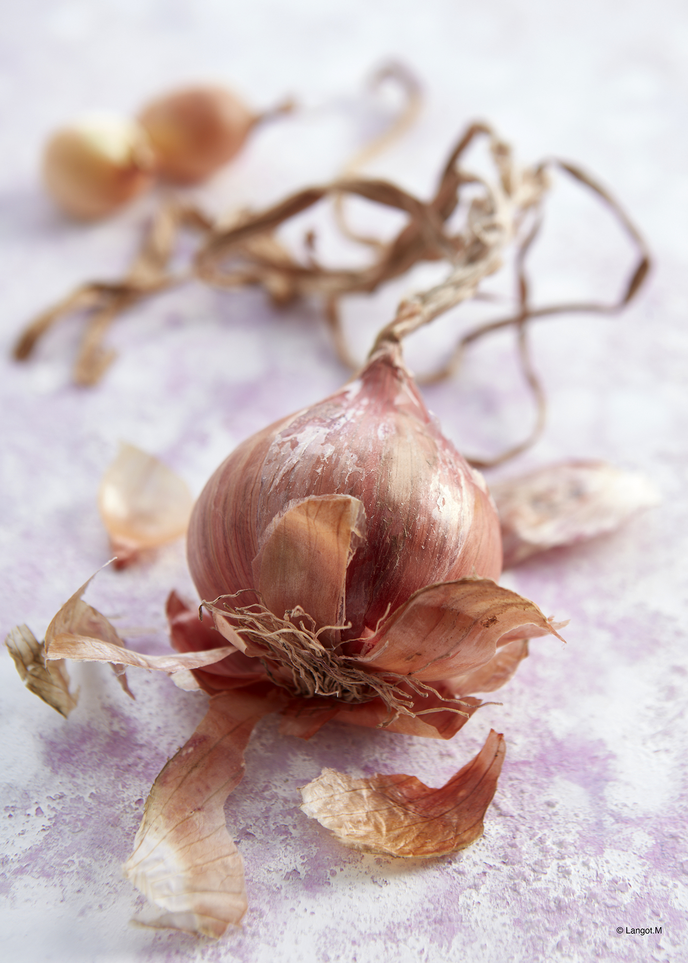 L’oignon a tout bon ! - Oui ! Le magazine de la Ruche Qui Dit Oui