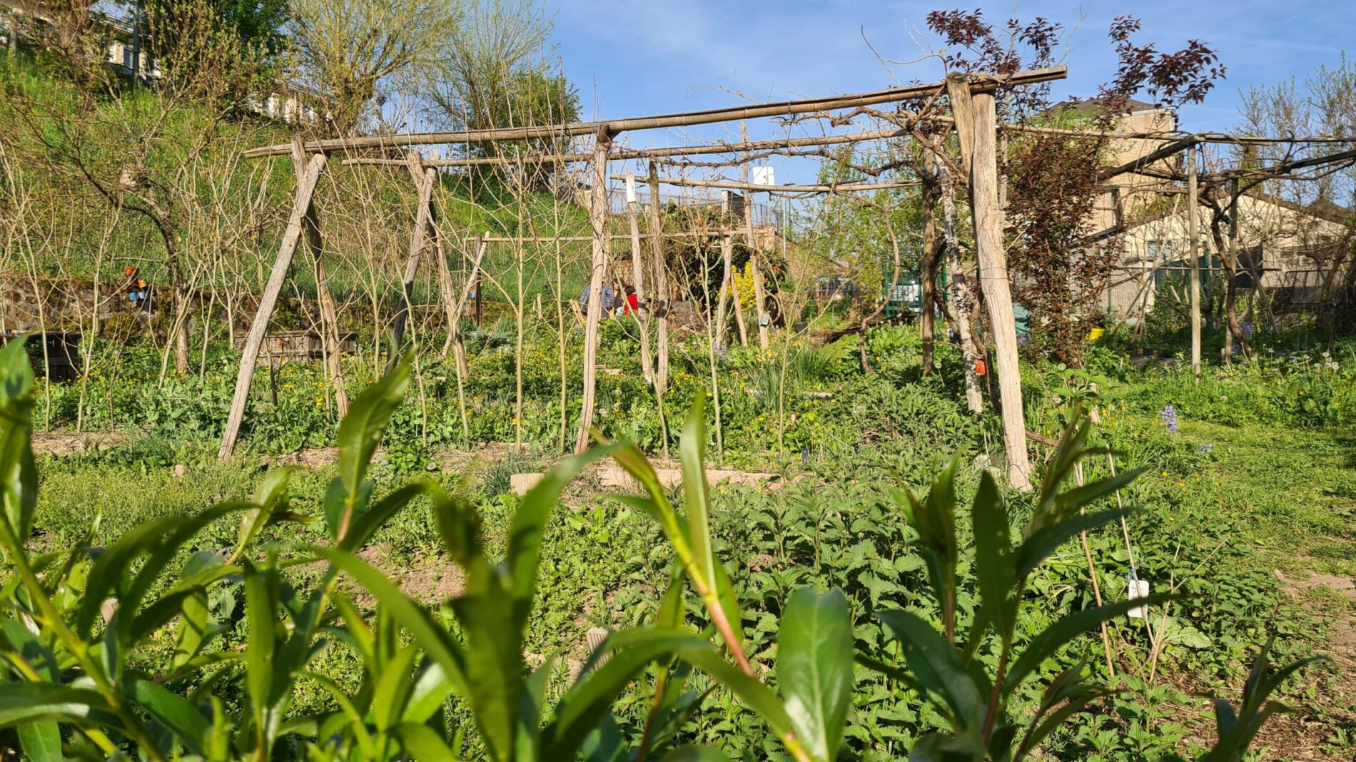 Jardins partagés : quand la ville reverdit grâce aux concitoyens - Oui ...