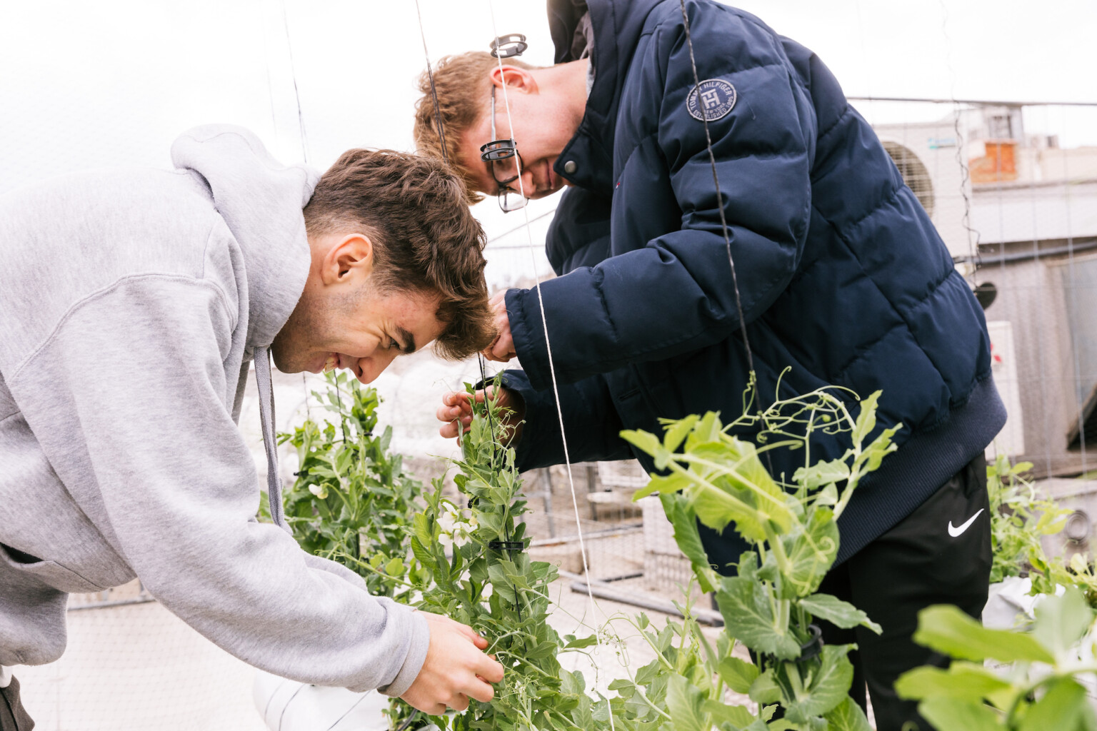 Jardins partagés : quand la ville reverdit grâce aux concitoyens - Oui ...